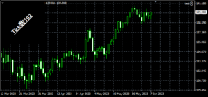 TextSetFont関数 描画テキストを設定 | フランのなるほどMT4